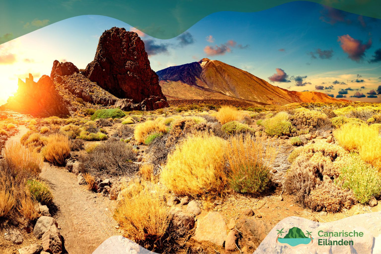 Biodiversiteit van de Canarische Eilanden: Een verborgen paradijs